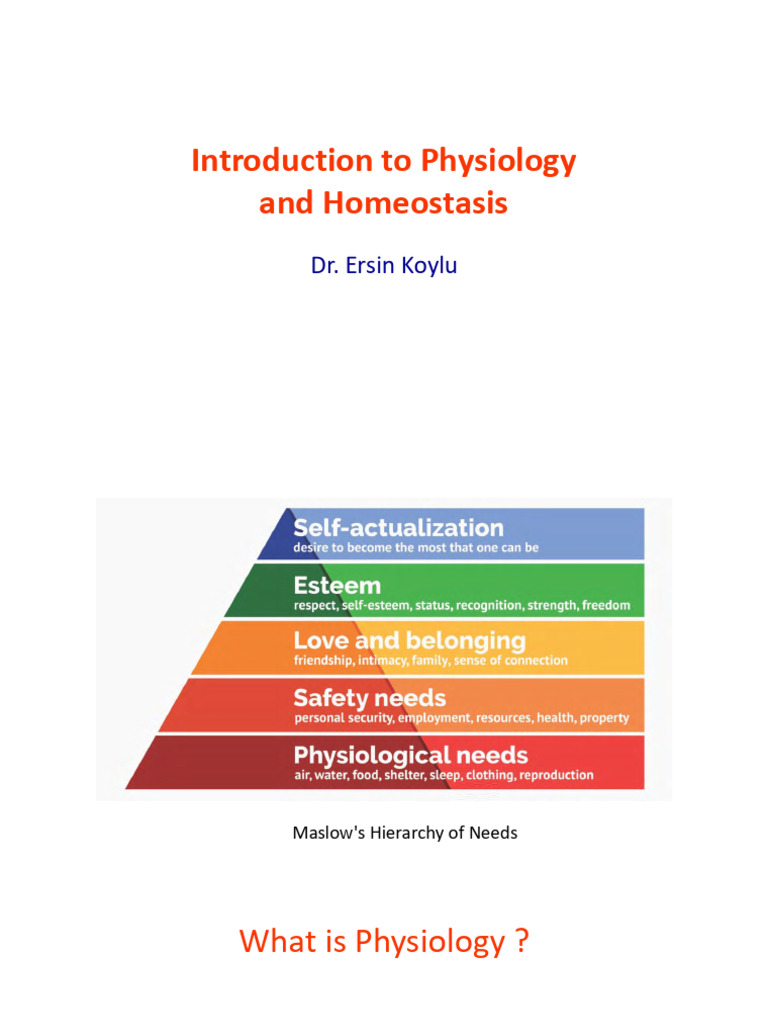 01 Intro Homeostasis | PDF | Homeostasis | Tissue (Biology)
