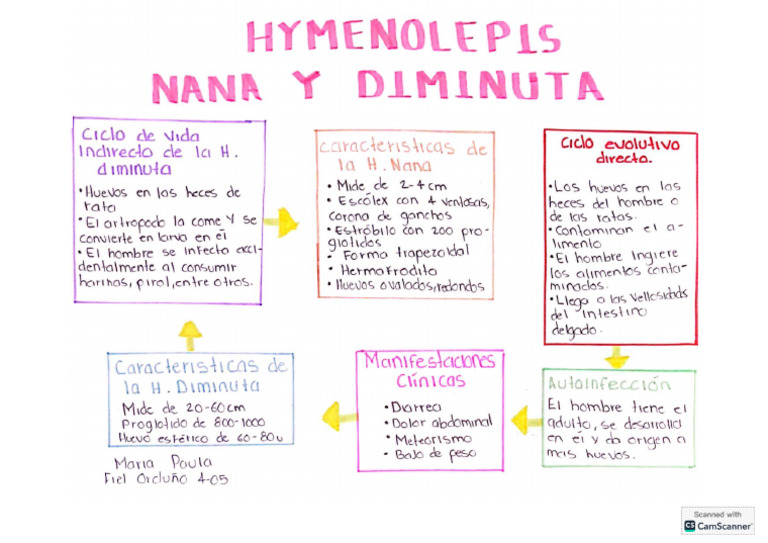 T21 - Fiel Orduño María Paula | PDF