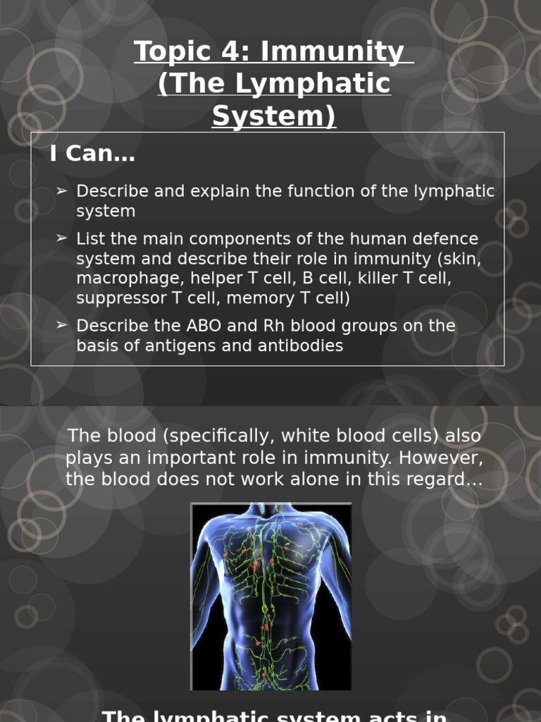 Circulation and Immunity | PDF | Phagocyte | Blood Type