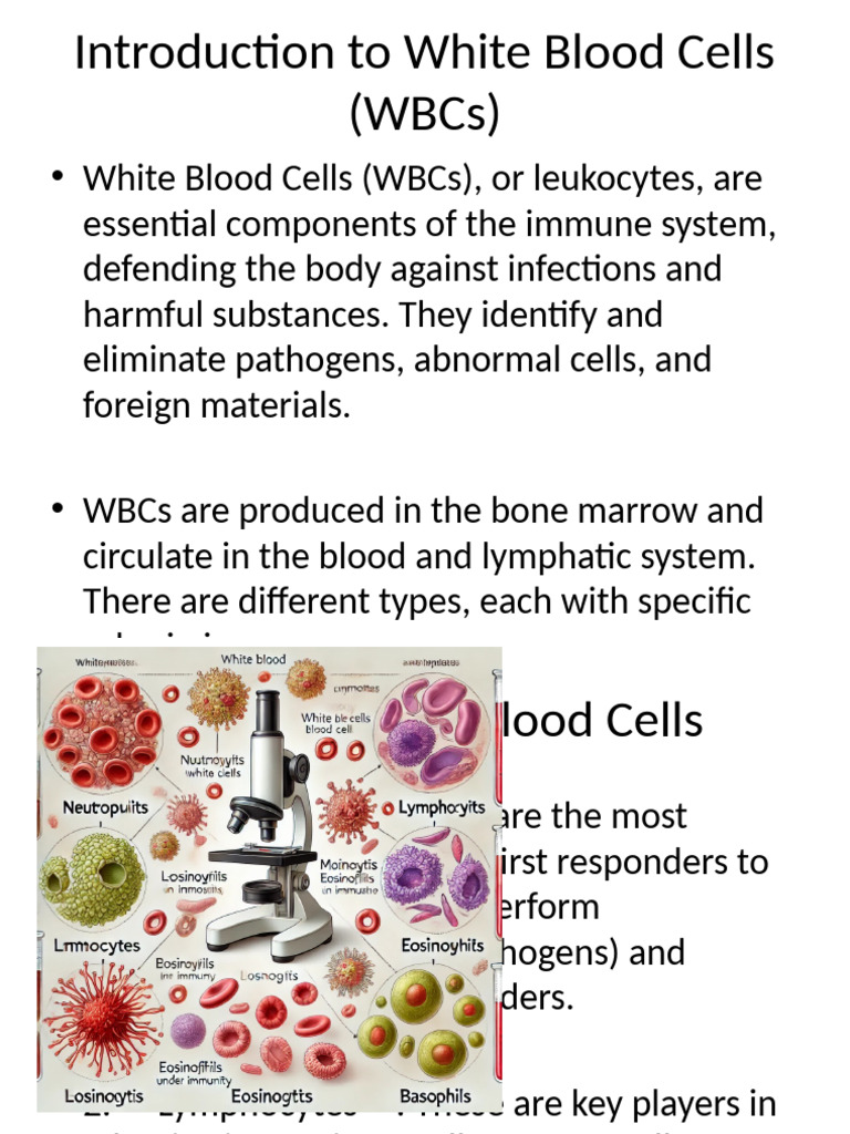 Expanded WBCs Presentation With Images | PDF