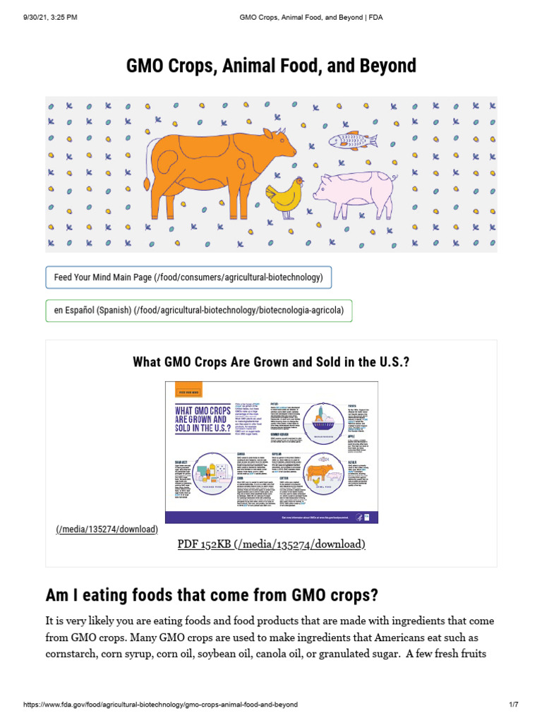 GMO Crops in U.S. Food and Animal Feed | PDF | Genetically Modified ...