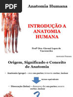 Aula 1 - Planos e Eixos | PDF | Anatomia | Corpo humano