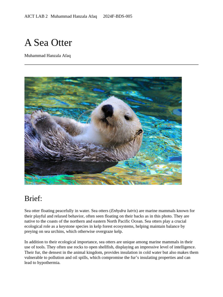 Sea Otter Conservation and Ecology | PDF