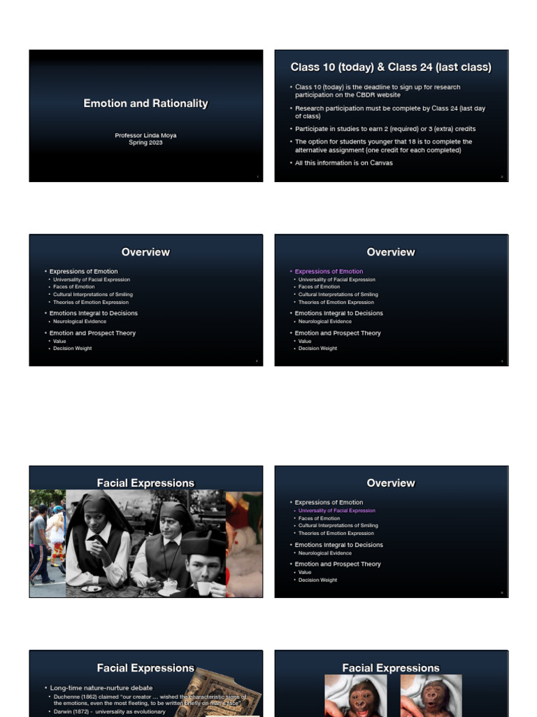 Lecture 10 - Emotion and Rationality Handout | PDF | Emotions | Risk