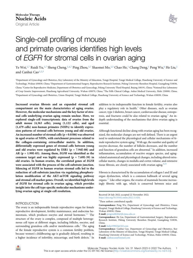 Single Cell Profiling Of Mouse And Primate Ovaries Pdf Ovary Transcriptome
