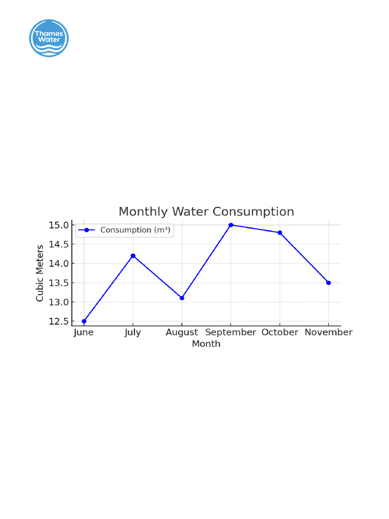 Thames Water Bill Summary | PDF
