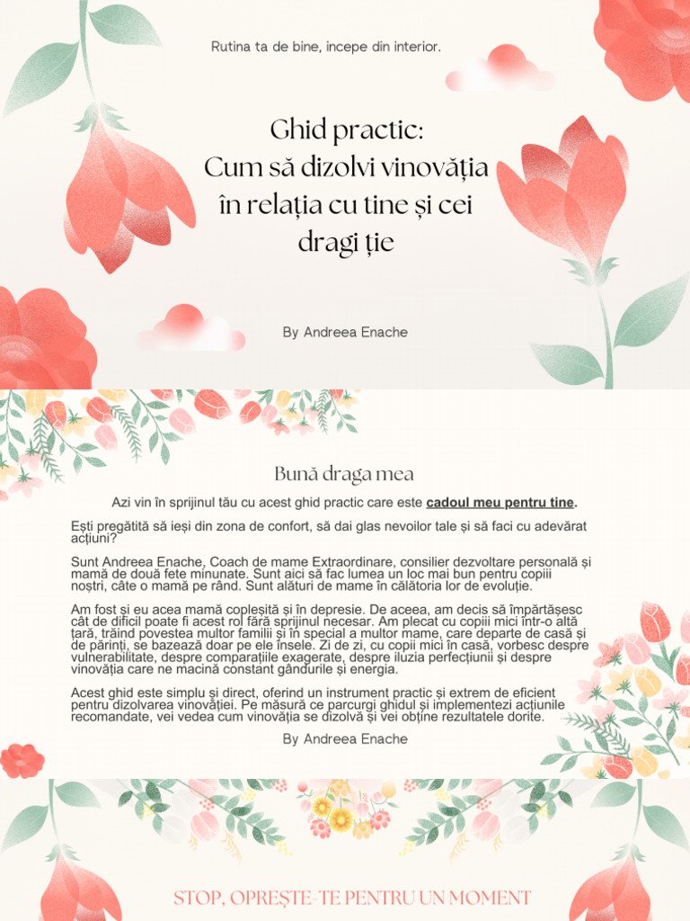 Ghid Practic Dizolva Vinovatia in Relatia Cu Cei Dragi | PDF