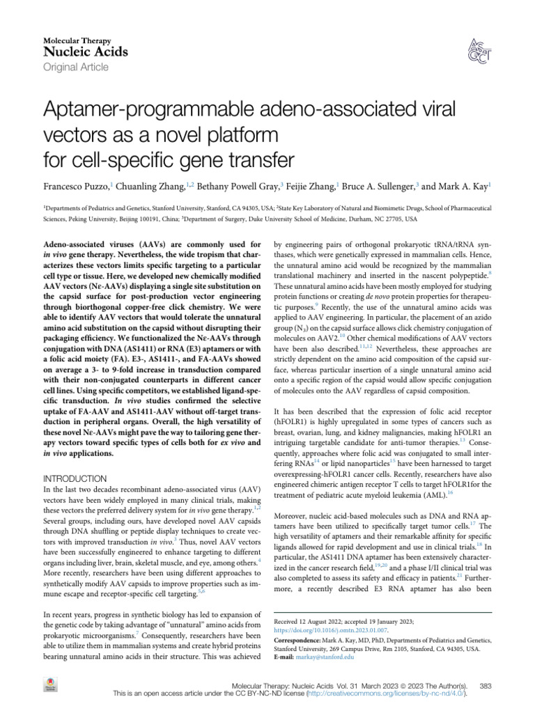 Aptamer Programmable Adeno Associated Viral Vector | PDF | Viral Vector | Vector (Molecular Biology)