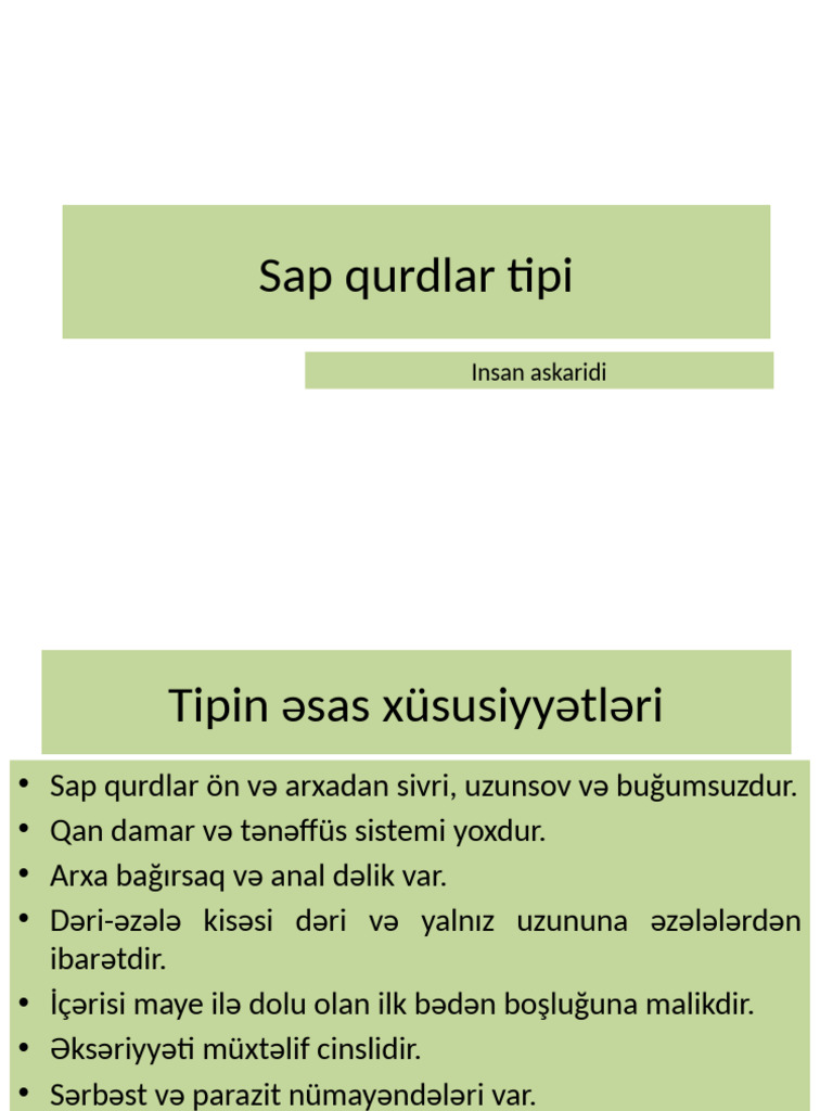 Sap Qurdlar Tipi | PDF