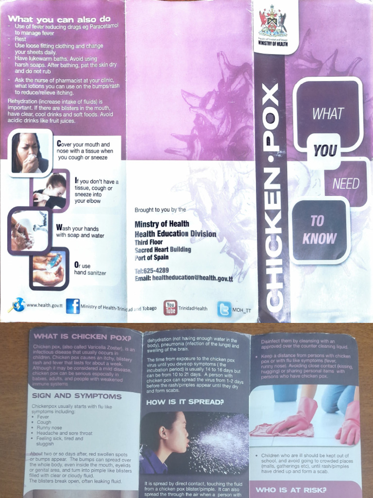 Chicken Pox Facts | PDF | Smallpox | Diseases And Disorders