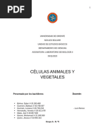 Partes y características del paramecio | PDF | Bioquímica | Química