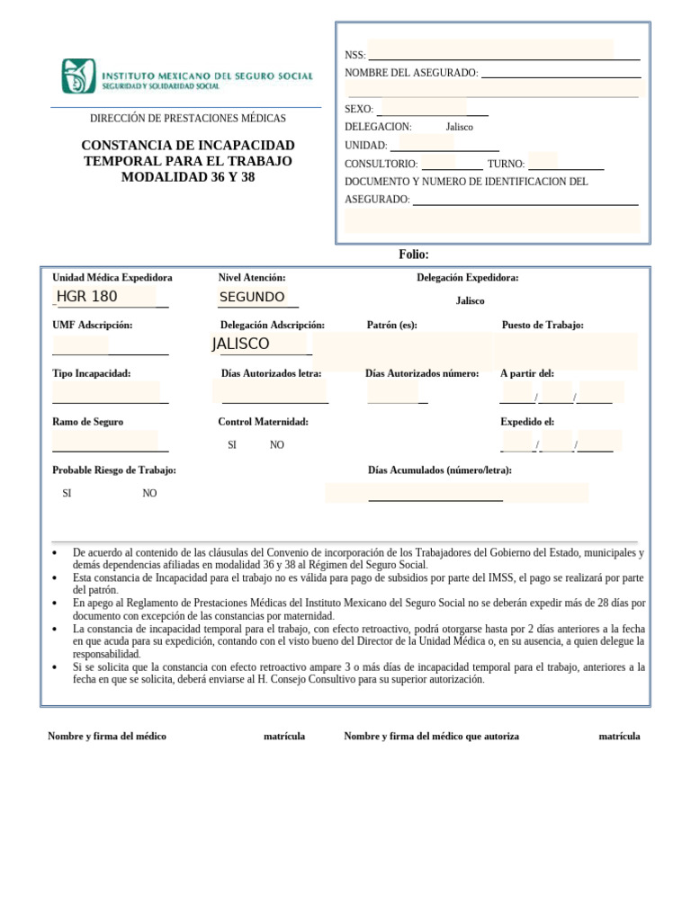Formato Constancia Incapacidad Mod 36 38 PDF | PDF