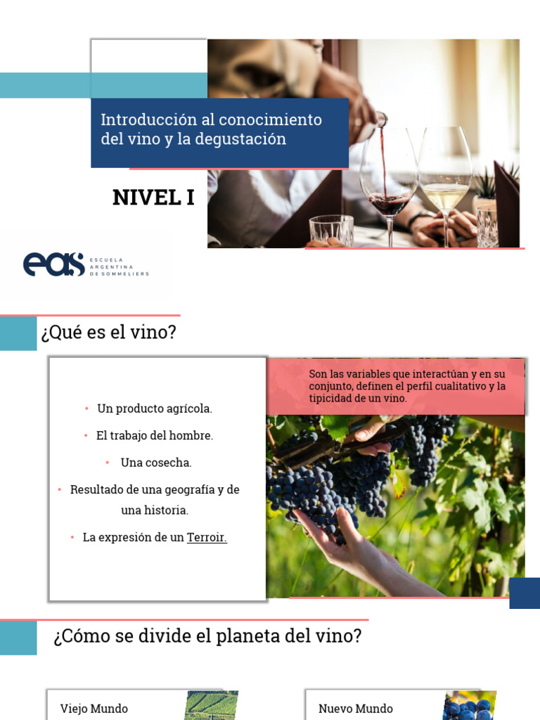 Intro Clase 1 | PDF | Vino | Gusto