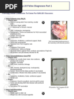 IDEXX CBC Chem Explained | PDF | Renal Function | Creatinine