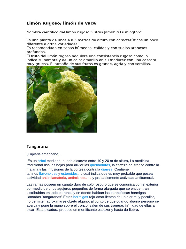 Limón Rugoso y Tangarana | PDF