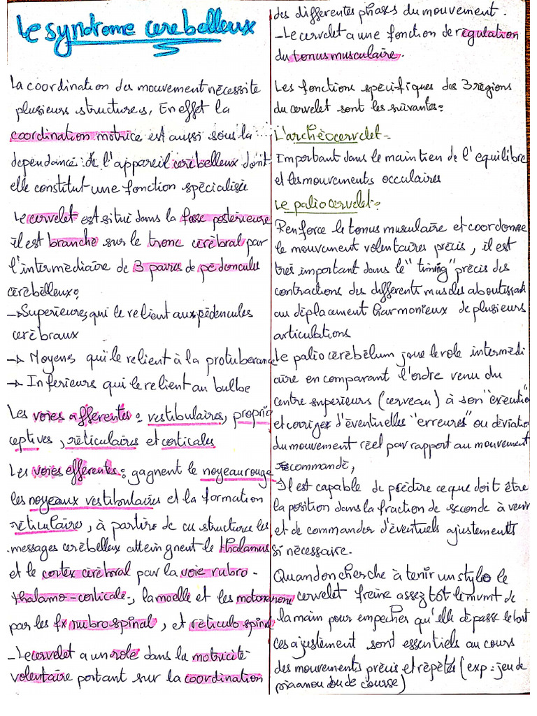 Le Syndrome Cerebelleux-Fifi | PDF