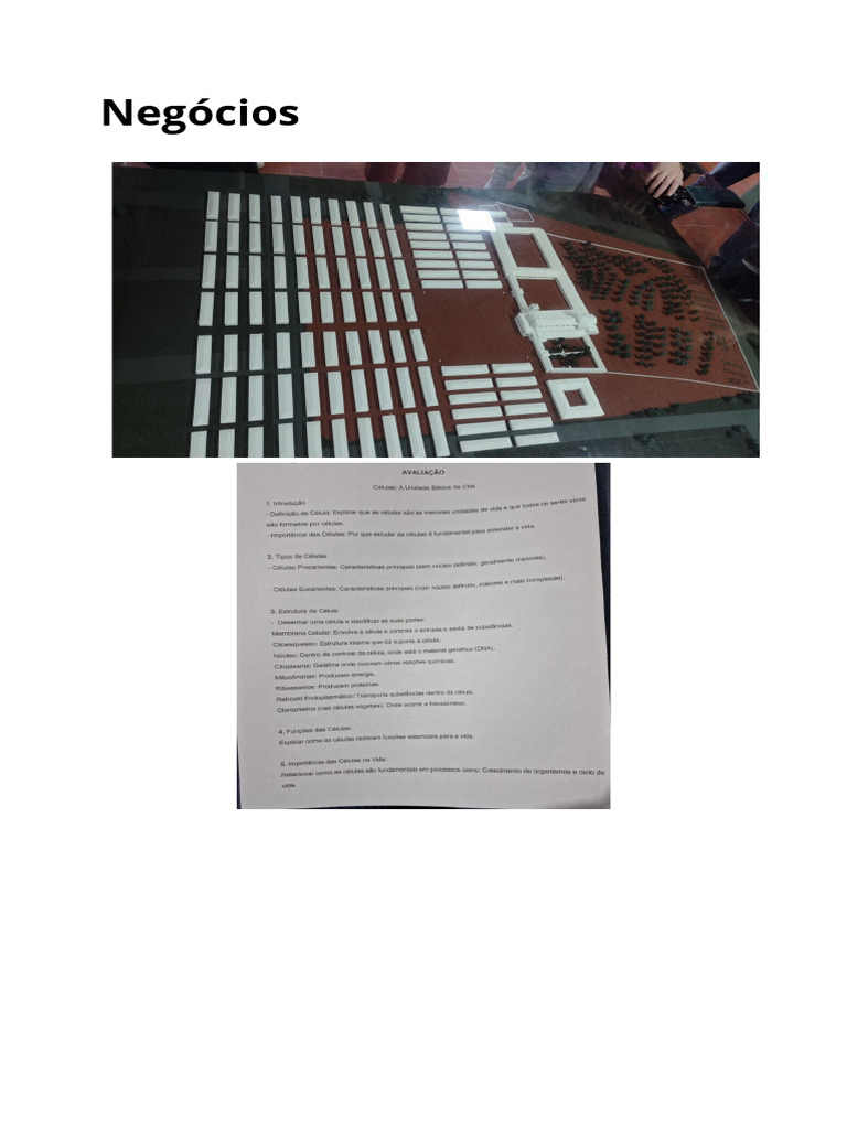 Negócios 20241129 174947 0000 | PDF