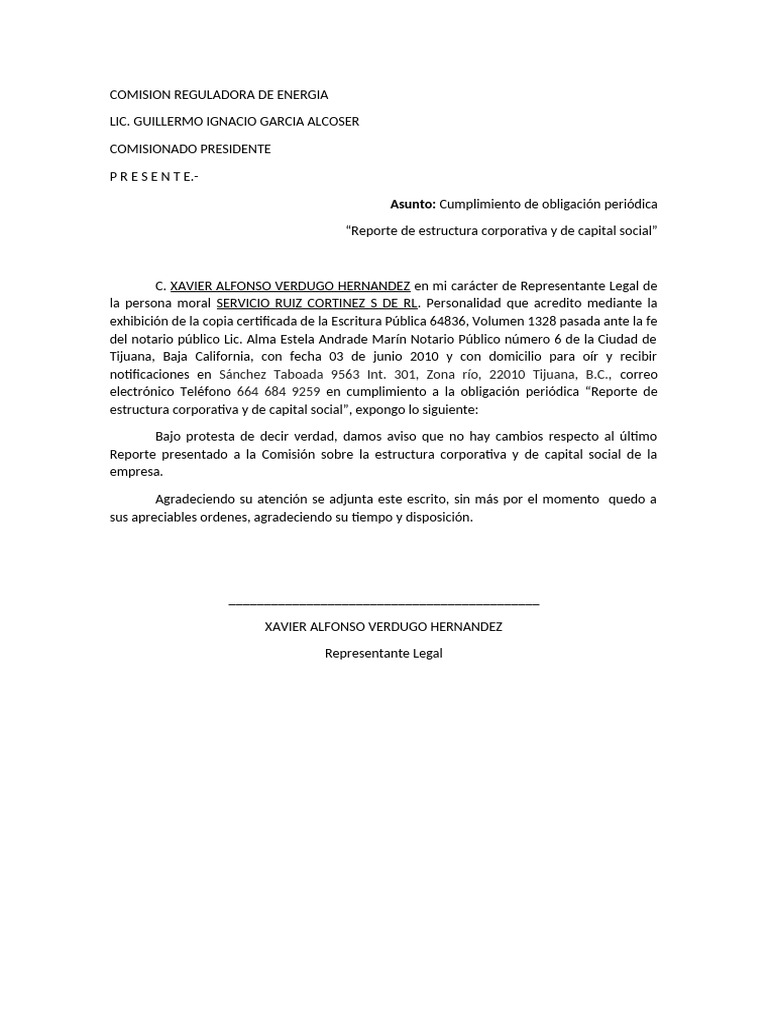 Escrito Libre Estructura Accionaria | PDF