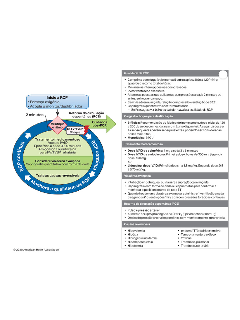 Algorithm-ACLS IVE CA Circular 200612 | PDF