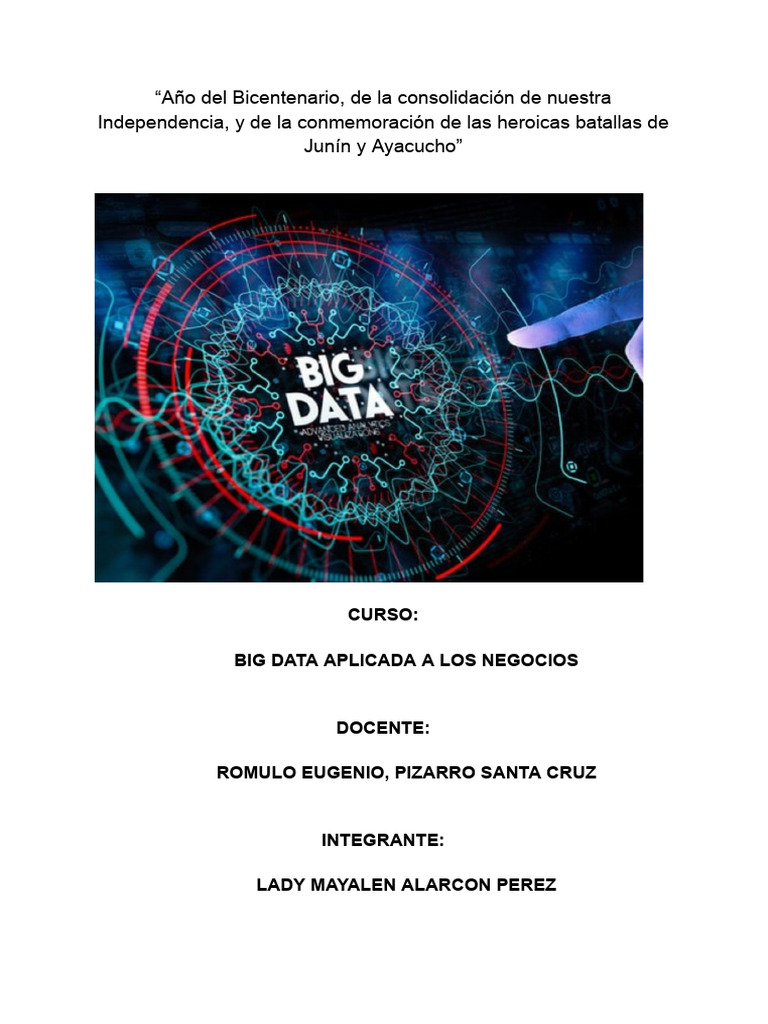 Aa1 Big Data | PDF | Big Data | Apache Hadoop