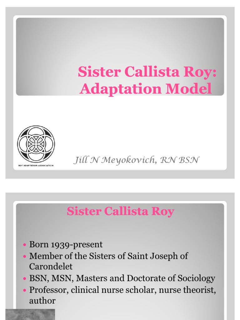 Sister Callista Roy Overview | PDF