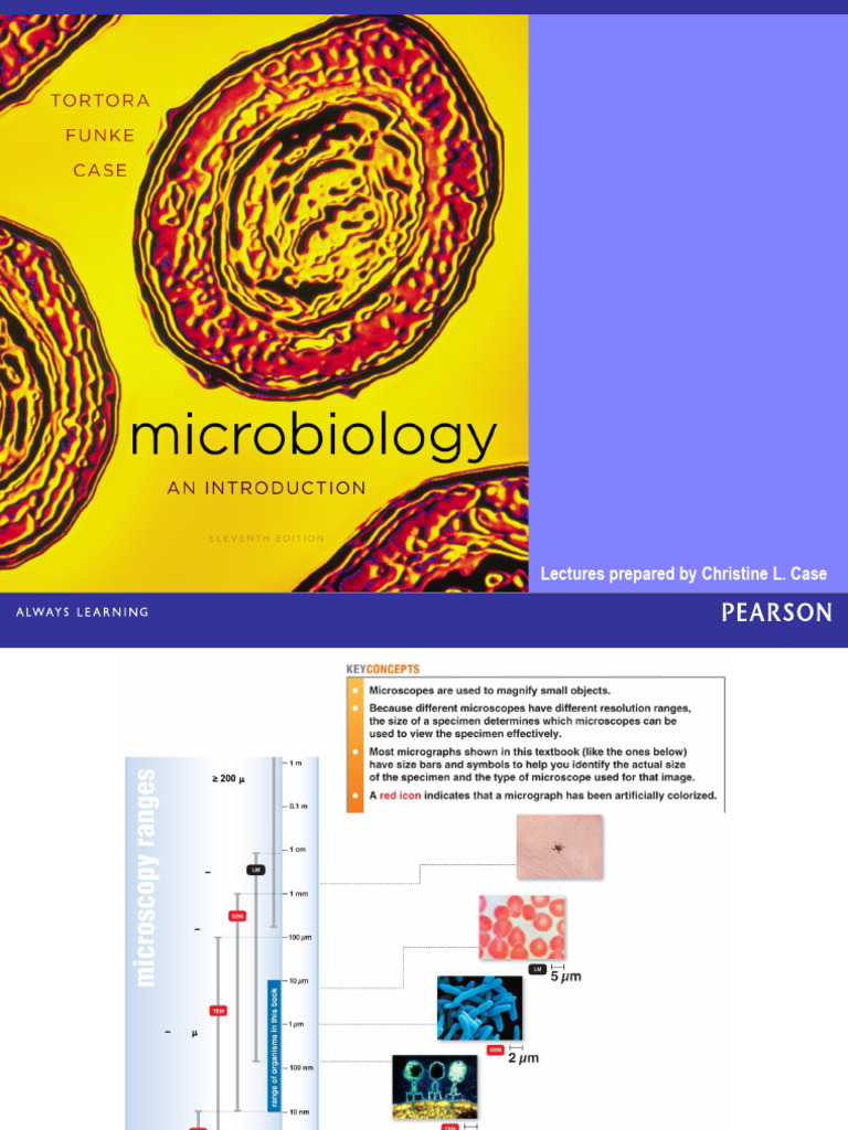CH - 03 - Lecture - Mod Observing Microorganisms | PDF | Microscope | Staining