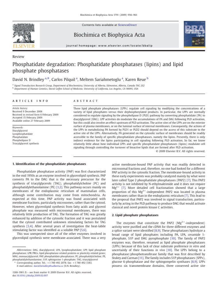 Phosphatidate Degradation Phosphatidate Phosphatases (Lipins) and Lipid ...