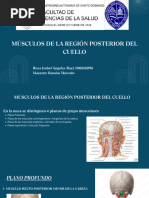 Anatomía de los Músculos Paravertebrales | PDF | Tejido suave ...