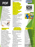 Formato DC-5 | PDF