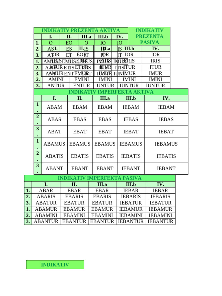 Latinski - Sva Gramatika | PDF