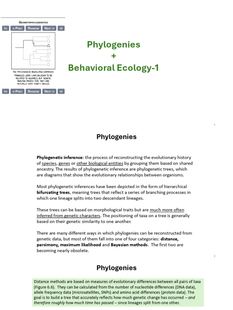 Week13 2 | PDF | Phylogenetic Tree | Phylogenetics