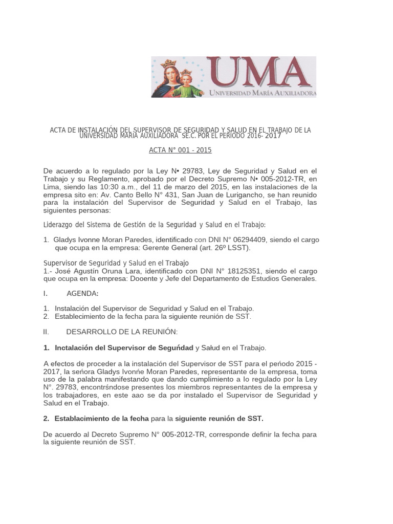 acta-instalacion | PDF