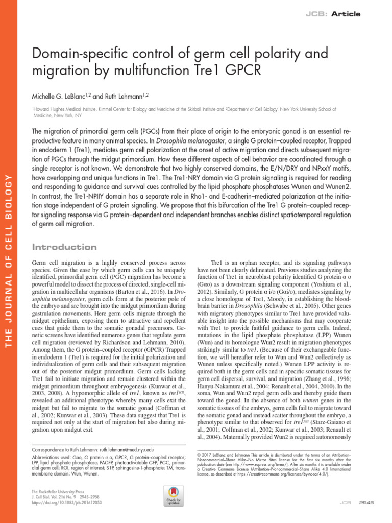 Domain-Specific Control of Germ Cell Polarity and Migration by ...