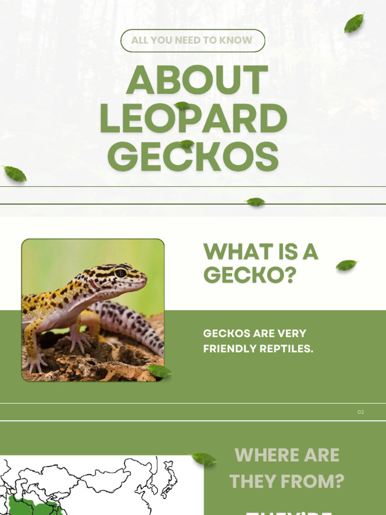 All About Geckos PDF | PDF