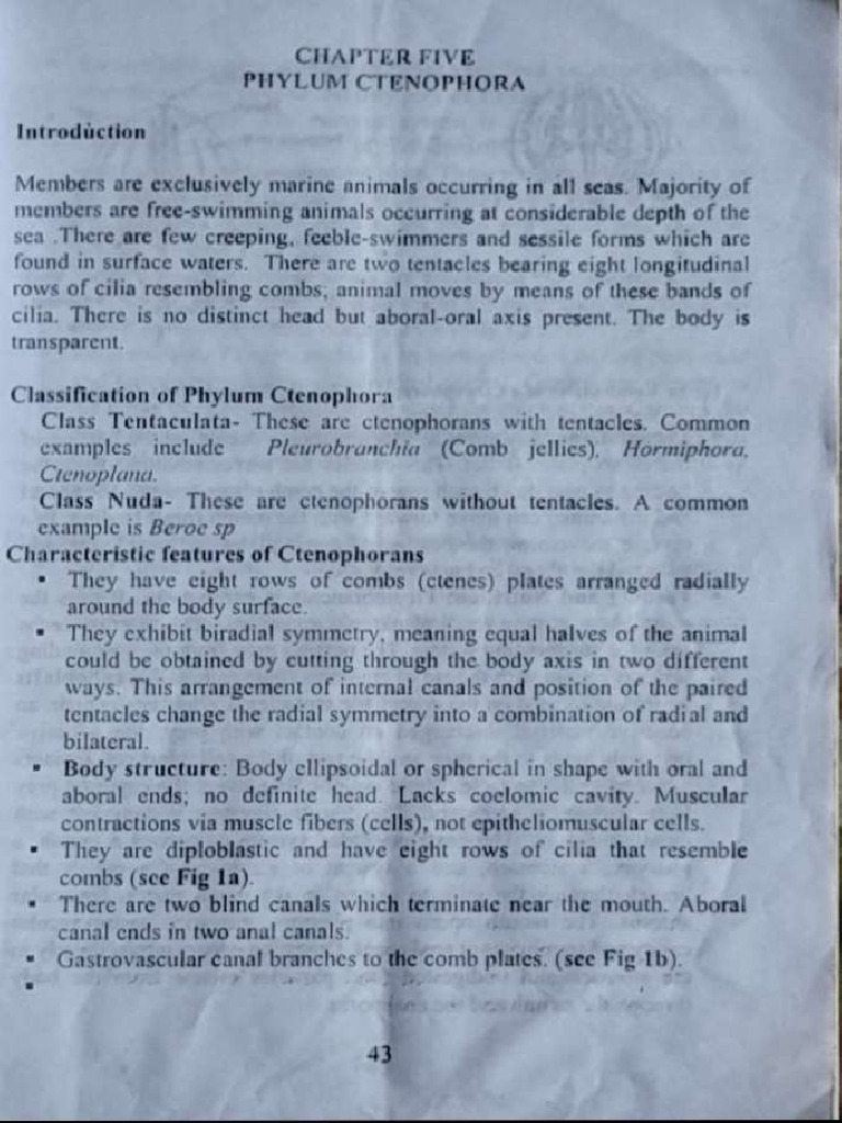 Zly 103 (CPT 5) | PDF