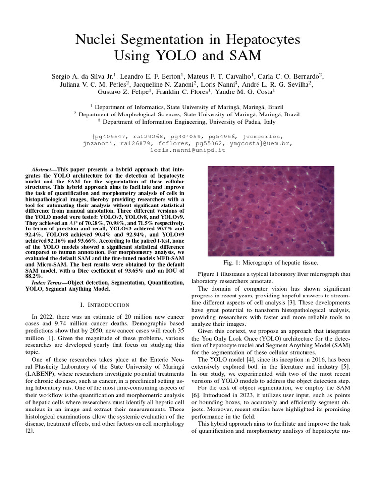 Nuclei Segmentation in Hepatocytes Using YOLO and SAM | PDF