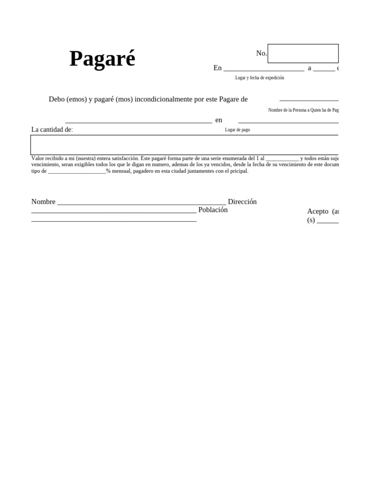 Formato Pagare | PDF