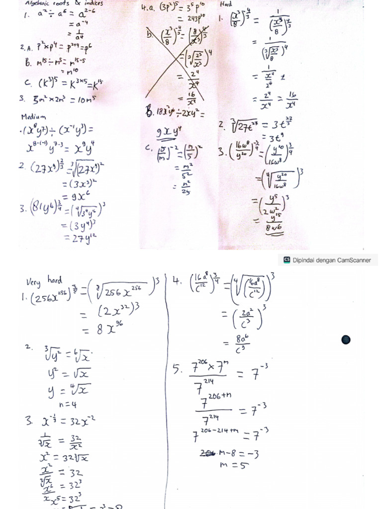 Algebraic Roots and Indices 27-11-2024 18.35 | PDF