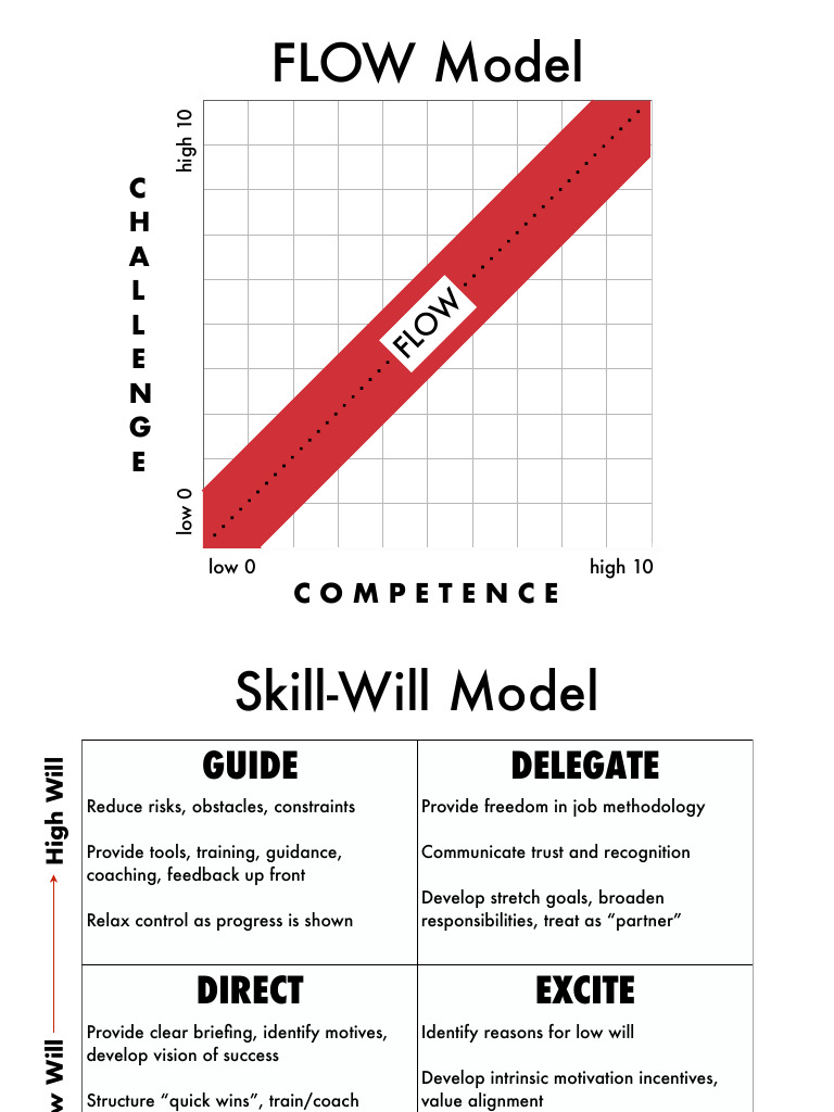FLOW SkillWill Situational Leadership | PDF | Popular Psychology | Control (Social And Political)