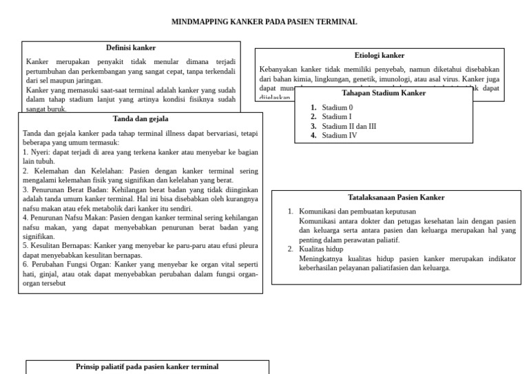 Mindmapping Kanker Terminal dan Paliatif | PDF