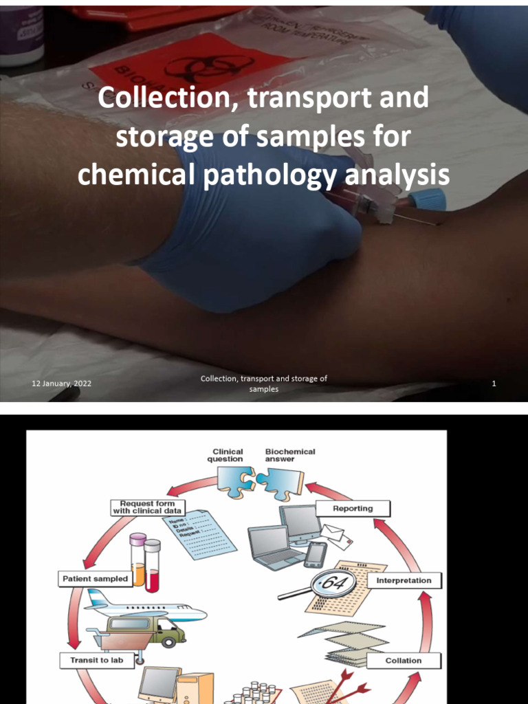 Collection Transport and Storage of Samples 2022 | PDF | Blood Plasma ...