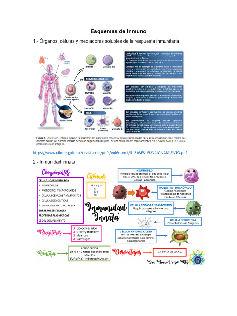 Esquemas de Inmuno | PDF | Sistema inmune | Bioquímica