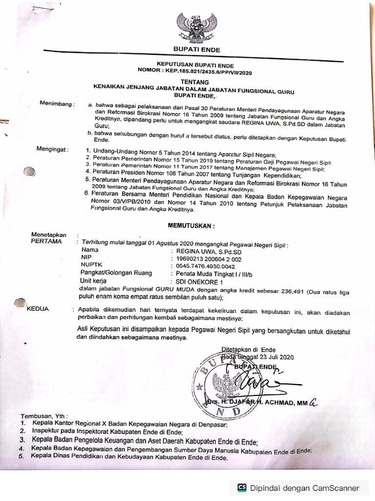 SK Jabatan Fungsional | PDF