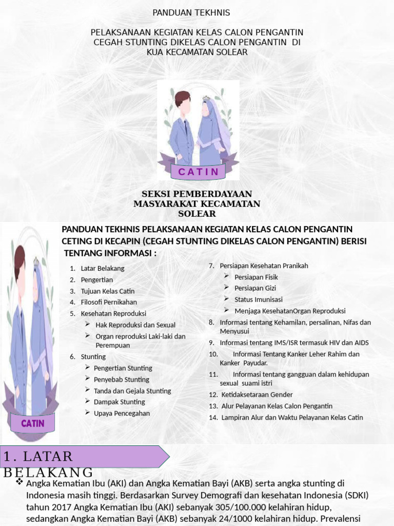 Materi Catin Dan Stunting | PDF