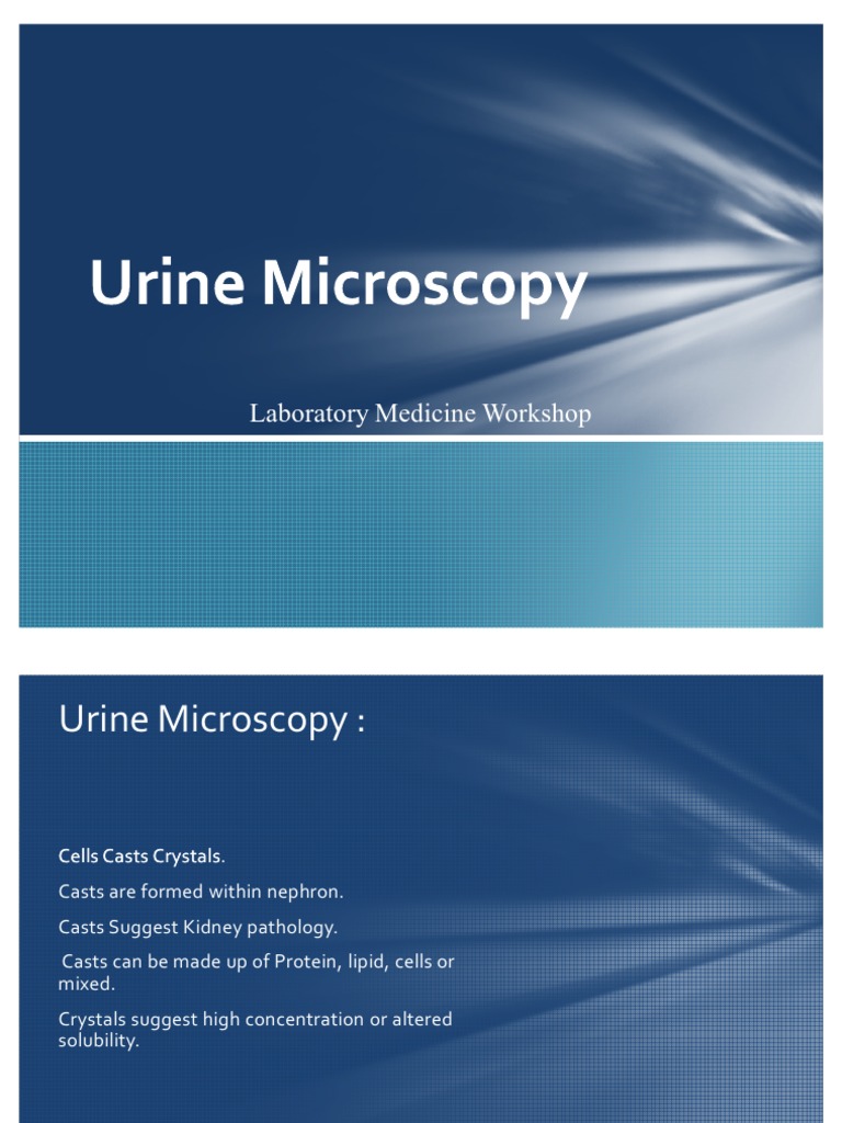 An In-Depth Examination of Urine Microscopy: Identifying Cells, Casts ...