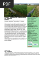 Understanding Rapids in Geography | PDF | River | Geomorphology
