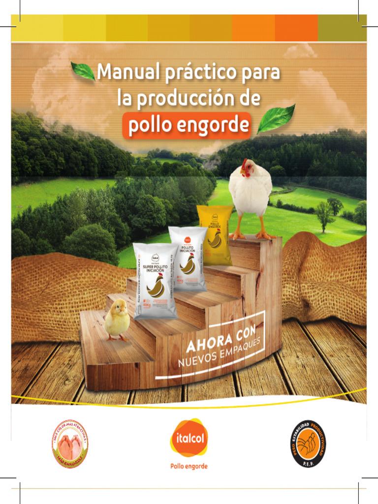 Manual Practico Produccion Pollo Engorde | PDF | Agua | Alimentos