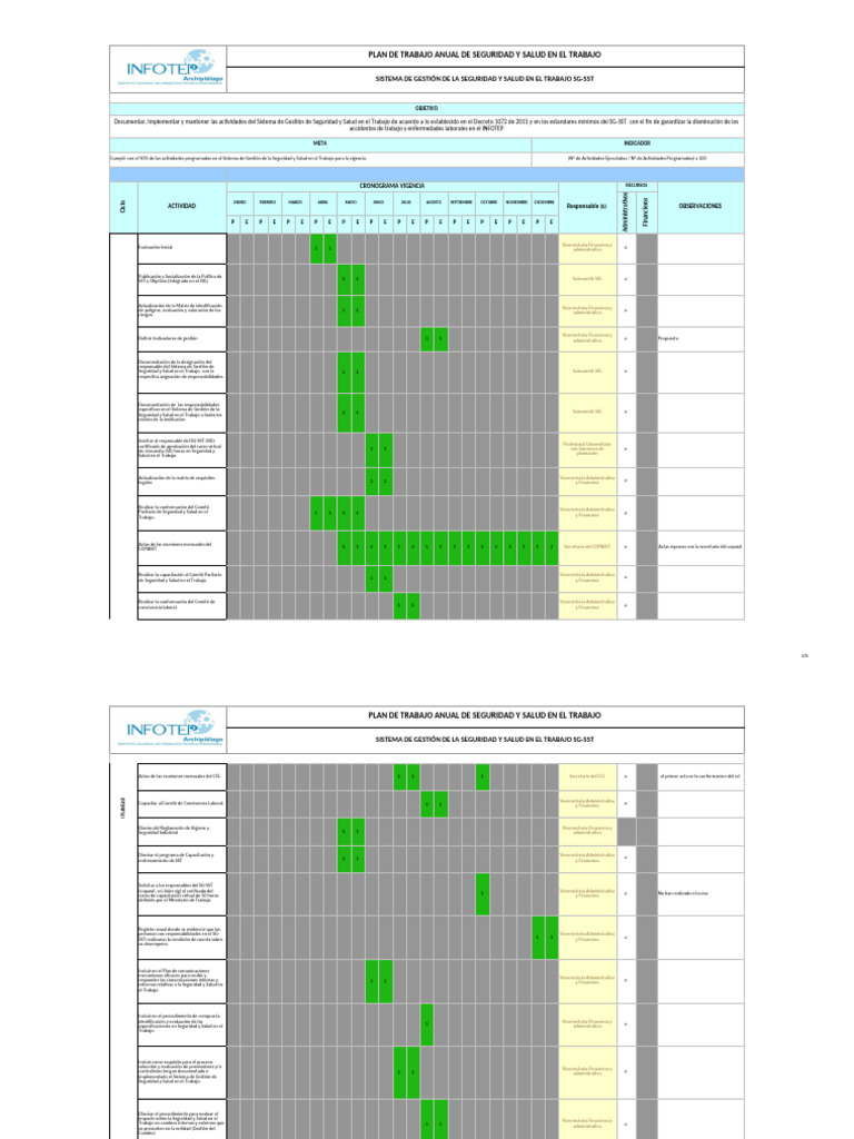 Plan de Trabajo Anual en Seguridad y Salud en El Trabajo | PDF | Valores