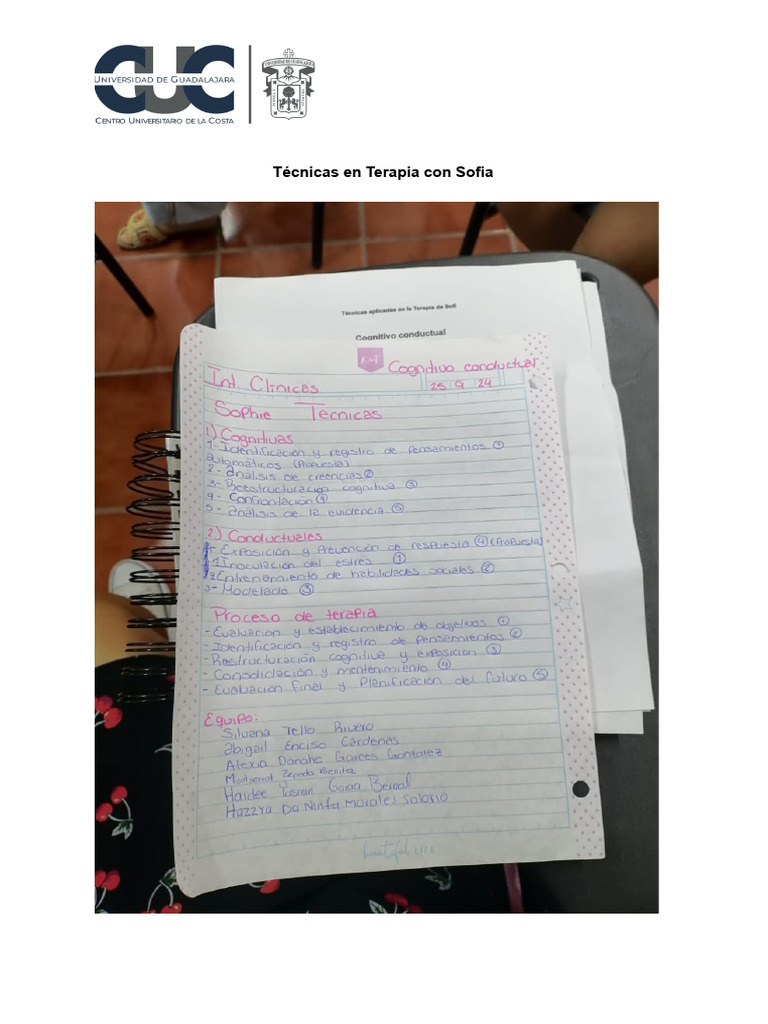 Técnicas en Terapia Con Sofia | PDF