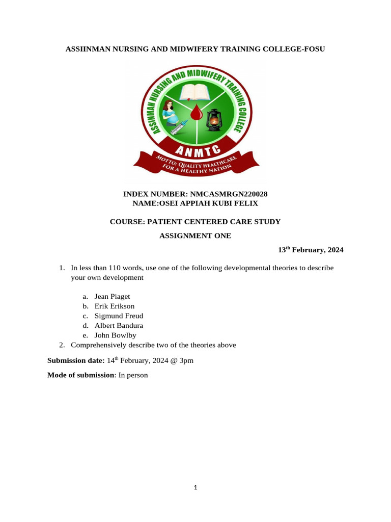 Felix Care Study | PDF | Attachment Theory | Self Efficacy